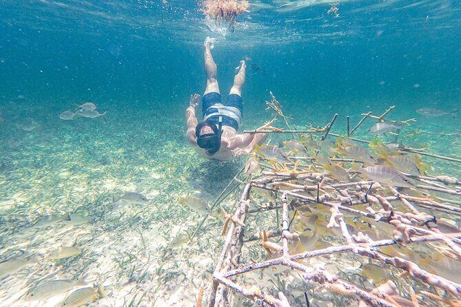 Punta Cana Private Cruise Up To 10 Snorkeling & Seafood lunch - Final Thoughts