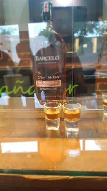 Punta Cana: Private Dominican Flavors Cultural Half-Day Trip - Key Points