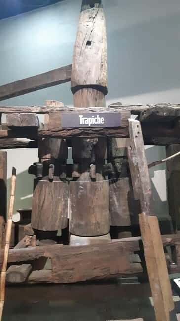 Punta Cana: Private Dominican Flavors Cultural Half-Day Trip - A Balanced Look at the Experience