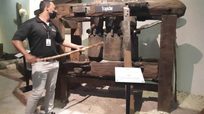 Punta Cana: Private Dominican Flavors Cultural Half-Day Trip - Final Thoughts