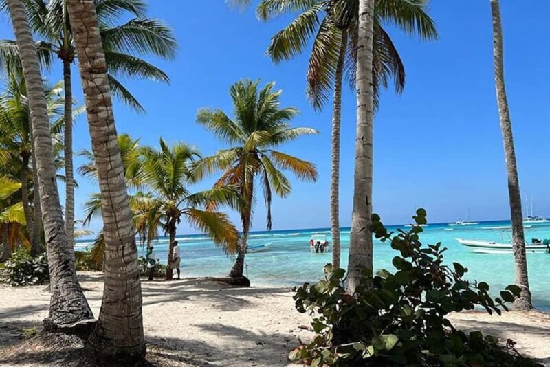 Punta Cana: Private Higüey Safari Tour w/ Lunch & Beach Time - The value of this experience