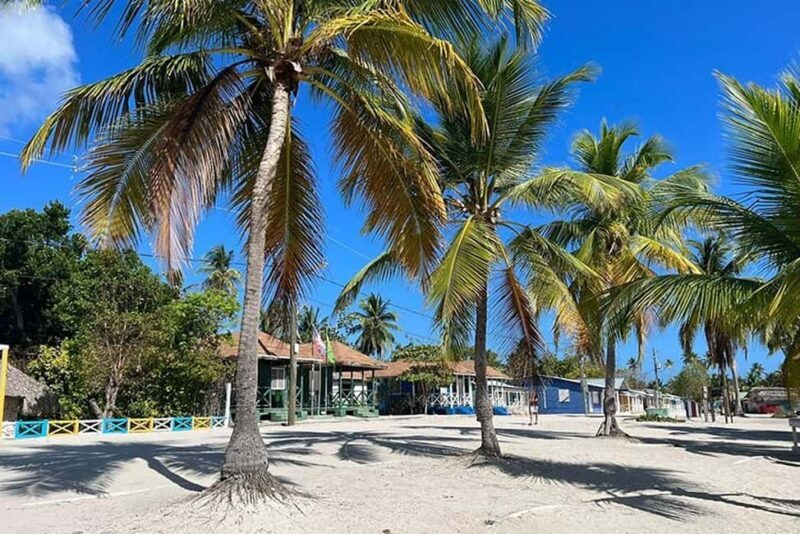 Punta Cana: Private Higüey Safari Tour w/ Lunch & Beach Time - Authentic reviews highlight the appeal