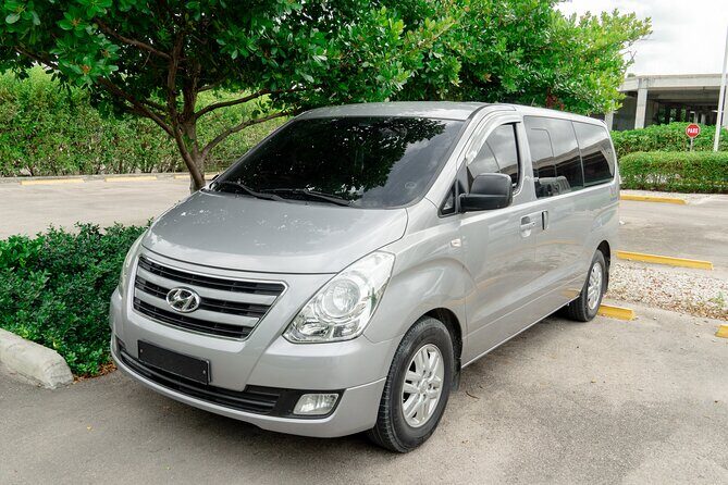 Punta Cana Private One-Way or Round-Trip Airport Transfers - The Sum Up