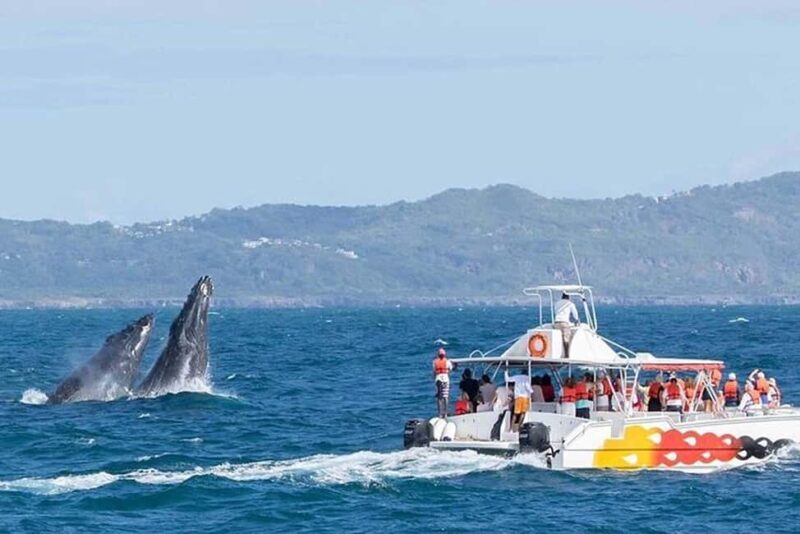 Punta Cana: Private Samaná Whale Watching Day Trip - Key Points