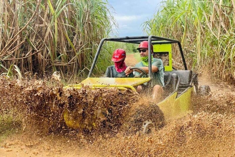 Punta Cana: Private SugarCane Fields Buggy or Quad Adventure - Pricing and Value