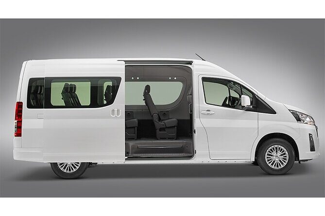 Punta Cana Private Transfer from Punta Cana Airport to Your Hotel - Overview of the Experience