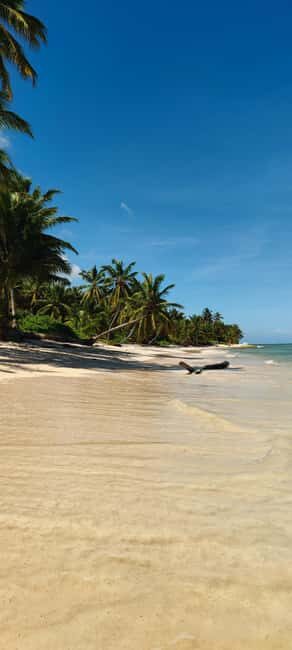 Punta Cana : Private yacht Snorkeling, Lagoon and Wild Beach - An Overview of the Experience