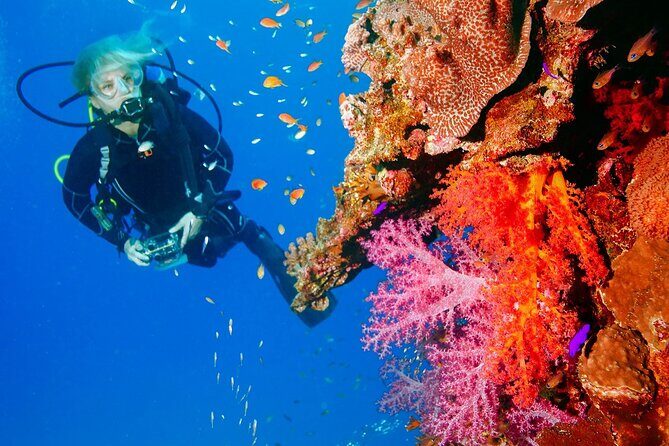 Punta Cana Reef Diving Adventure Explore Underwater Wonders - Frequently Asked Questions