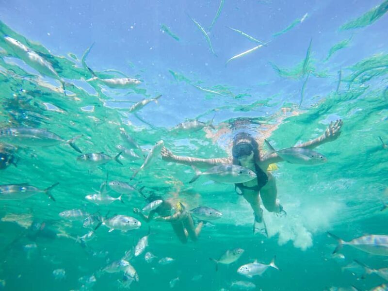 Punta Cana: Reef Explorer Access w/ Sharks & Stingrays Swim - Refreshments and Snacks