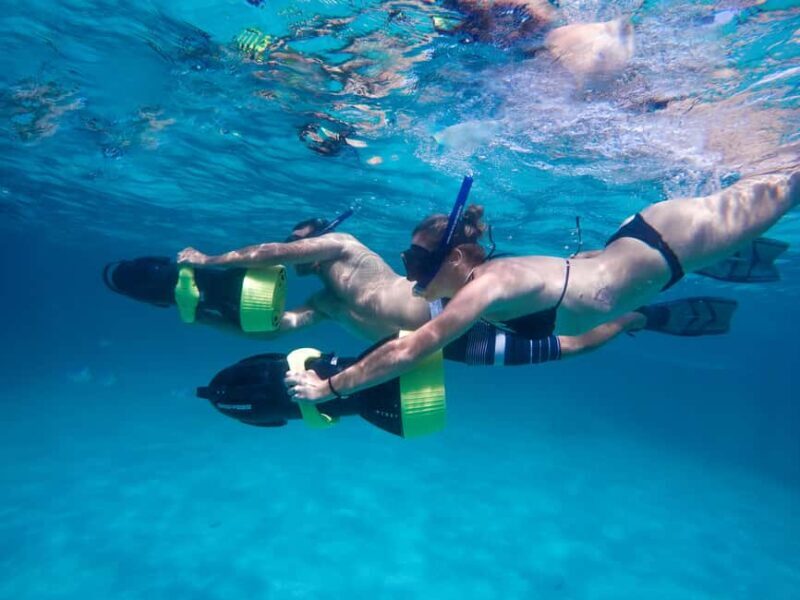 Punta Cana: Reef Explorer Access w/ Sharks & Stingrays Swim - What the Reviews Say