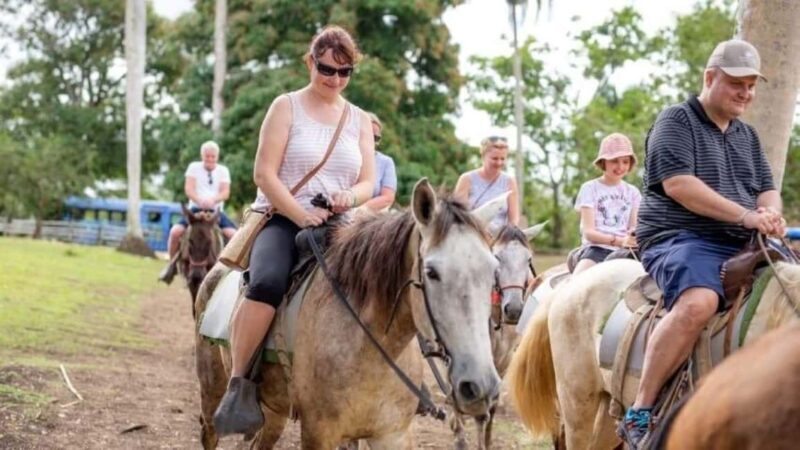 Punta Cana: Safari and City Tour with Horseback Riding - A Deep Dive into the Experience