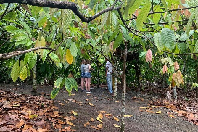 Punta Cana Safari Tour - The Sum Up: Who Will Love This Tour?