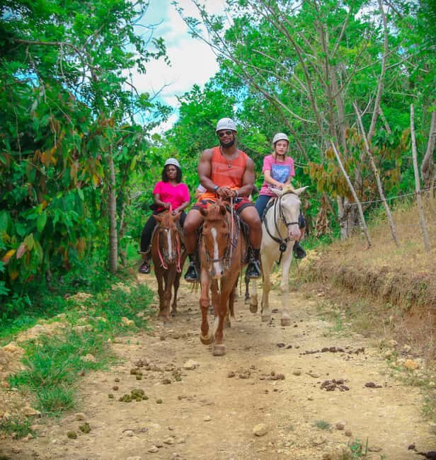 Punta Cana: Safari Zip-Line, Buggy and Horse Riding - Key Points
