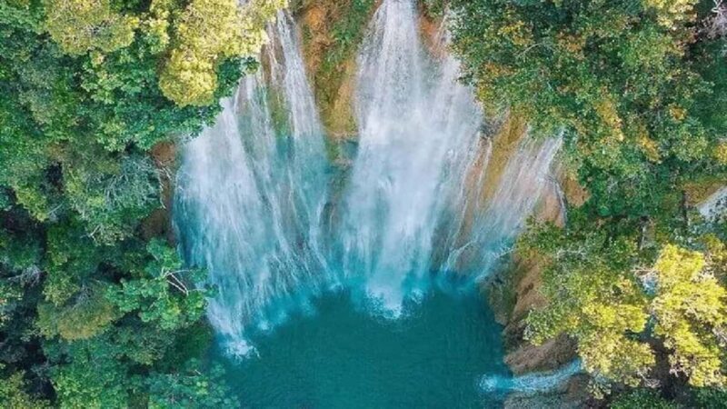 Punta Cana: Samaná Day Trip with El Limón & Bacardí Island - Value and Pricing