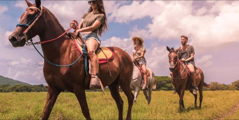 Punta Cana: Samaná Day Trip with El Limón Waterfall - Key Points