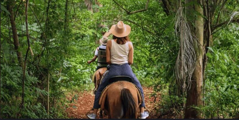 Punta Cana: Samaná Day Trip with El Limón Waterfall - The Journey Begins: From Punta Cana to Samaná