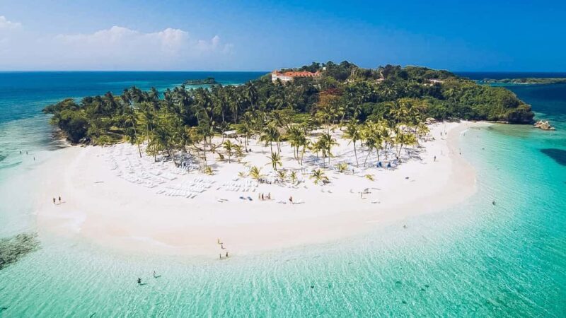 Punta Cana: Samana Full Day Trip Whale Cascada El Limon - Key Points