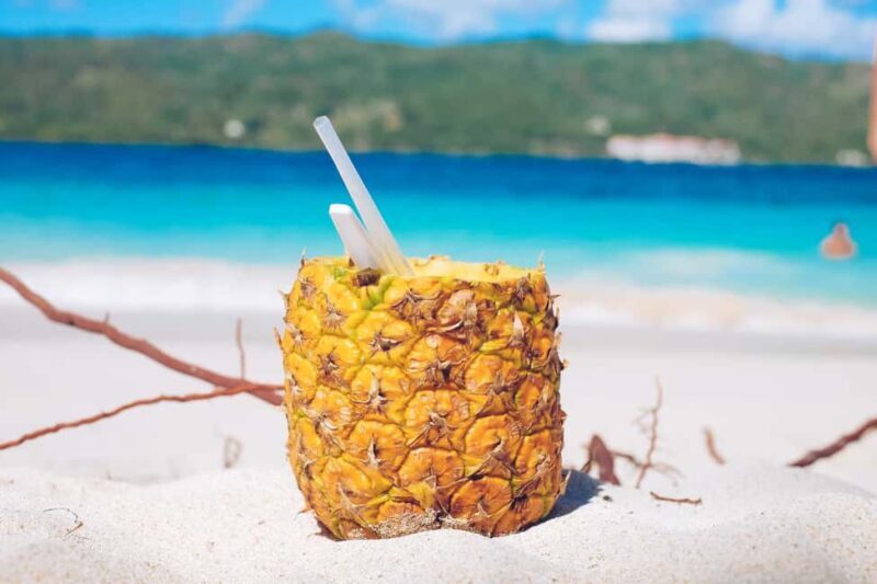 Punta Cana: Samana Full Day Trip Whale Cascada El Limon - Final Thoughts: Who Should Book?