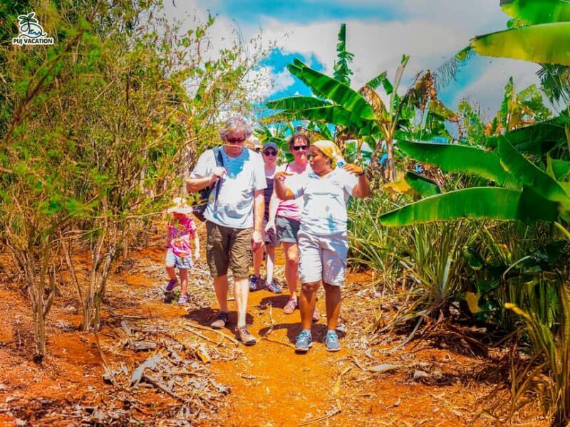 Punta Cana: Samana safari between waterfalls and beaches - A Detailed Look at the Tour Experience