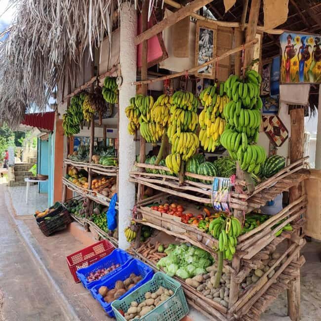 Punta Cana: Samana safari between waterfalls and beaches - The Sum Up