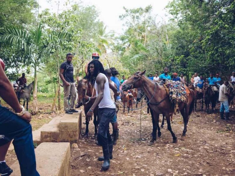 Punta Cana: Samaná Whale Watching and El Limón Day Tour - FAQ (Frequently Asked Questions)