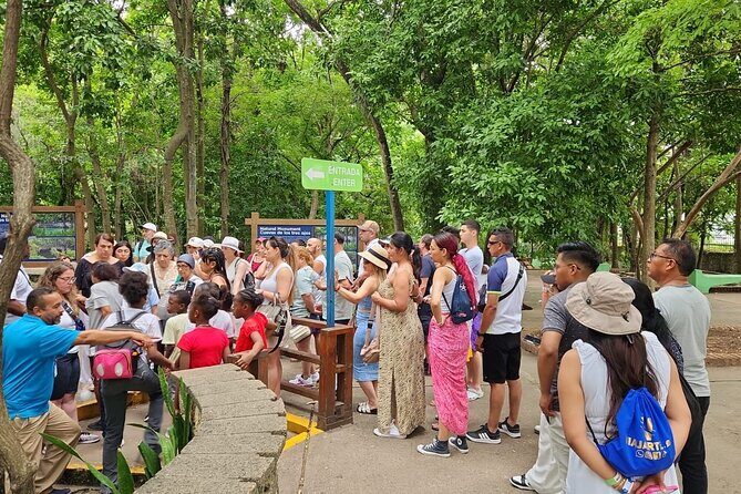 Punta Cana Santo Domingo - An Introduction to the Tour Experience