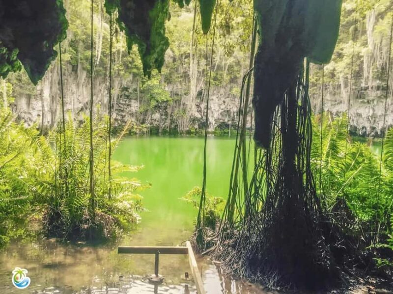 Punta Cana: Santo Domingo Private Day Trip with Lunch - The Experience from Reviews