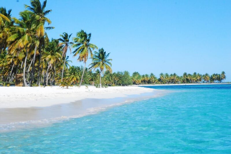Punta Cana: Saona Crusoe VIP - Who Will Love This Tour?
