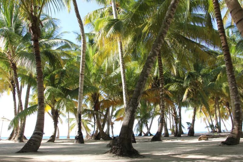 Punta Cana: Saona Island and Altos de Chavón Day Trip - FAQ