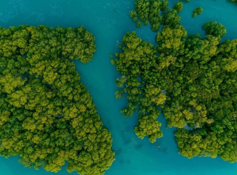 Punta Cana: Saona Island and Chavón River Combo with Guided Tours - Who Is This Tour Best Suited For?