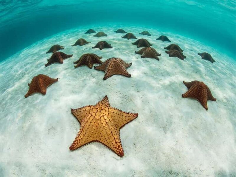 Punta Cana: Saona Island and Chavón River Combo with Guided Tours - Final Thoughts