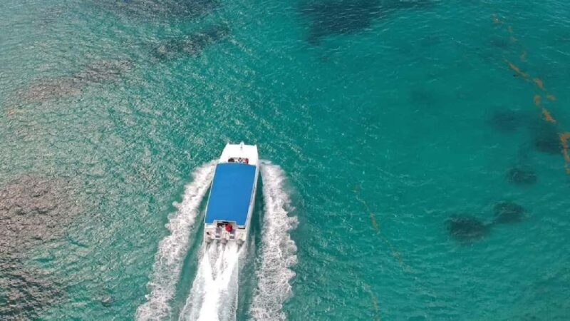 Punta Cana: Saona Island Catamaran & Speedboat Tour - The Practical Side: Price, Duration, and Value