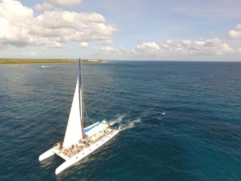 Punta Cana: Saona Island Catamaran Tour & Buffet Lunch - Authentic Feedback from Travelers