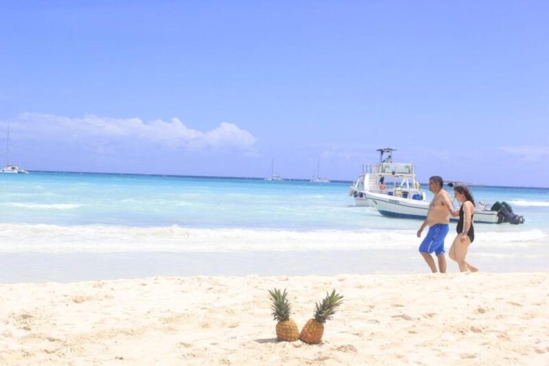Punta Cana: Saona Island Catamaran Tour & Buffet Lunch - FAQ: Your Practical Questions Answered