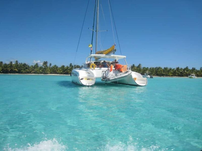 Punta Cana: Saona Island Day Tour and Catamaran Party - Key Points