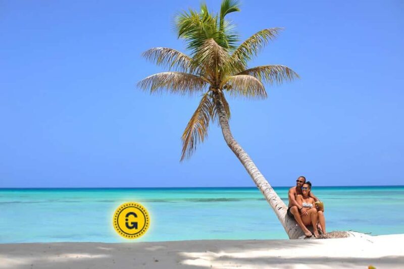 Punta Cana: Saona Island Day Tour and Catamaran Party - What about the Food and Organization?