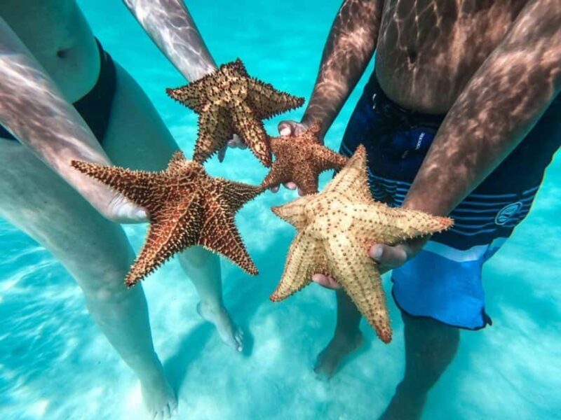 Punta Cana: Saona Island Day Tour and Catamaran Party - Transportation and Practicalities