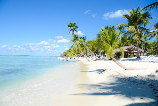 Punta Cana : Saona Island Day Tour - Authenticity and Overall Experience