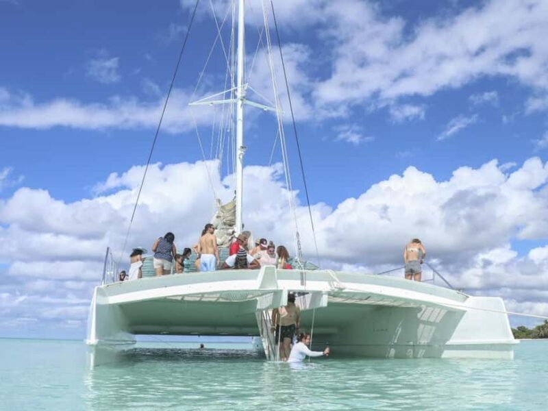 Punta Cana: Saona Island Day Trip with Blue Lagoon & Lunch - The Sum Up