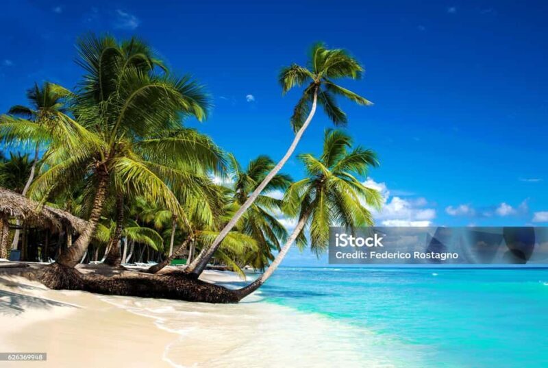 Punta Cana: Saona Island Day Trip with Catamaran Cruise - The Practical Side: What You Should Know