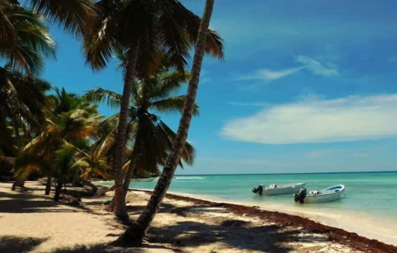 Punta Cana: Saona Island Day Trip with Lobster Lunch - An Overview of the Saona Island Experience