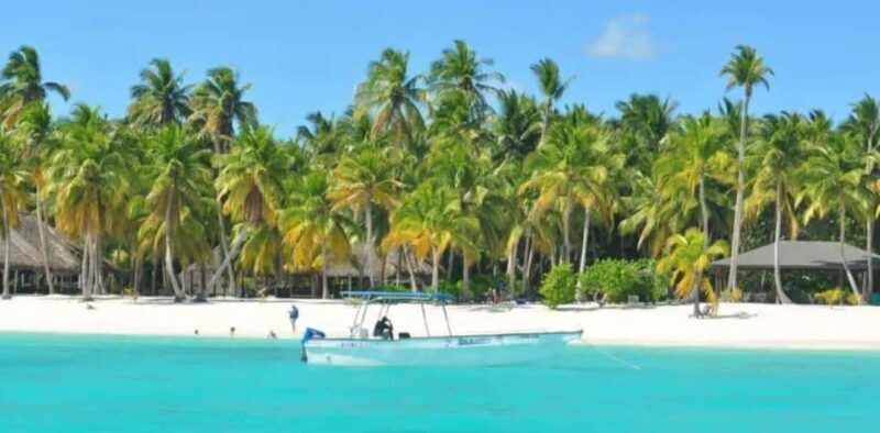 Punta Cana: Saona Island Day Trip with Lobster Lunch - Who Would Love This Tour?