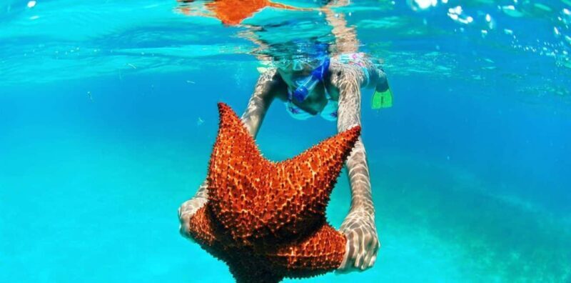 Punta Cana: Saona Island Day Trip with VIP Option - An Authentic Look at the Saona Island VIP Day Trip