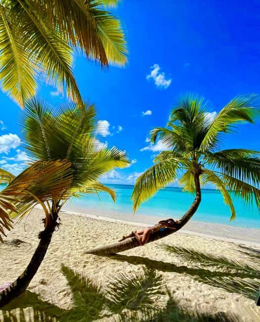 Punta Cana: Saona Island Exclusive Private Beach, Open Bar & Premium Lunch - Key Points