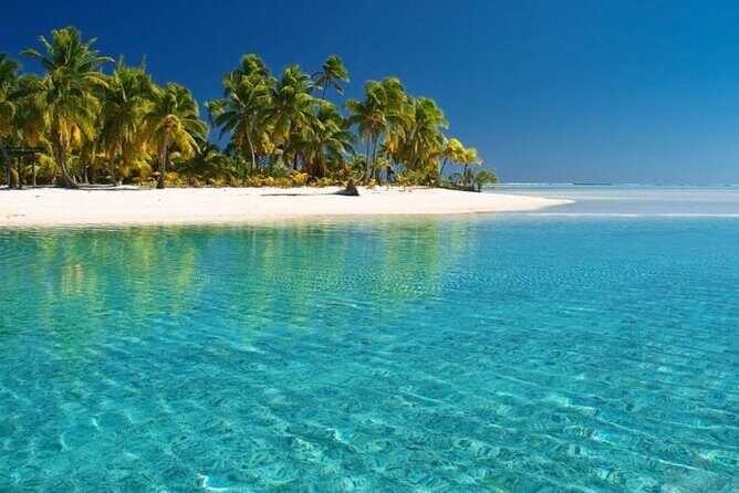 Punta Cana: Saona Island Food And Drink Catamaran Hotel Pickup - The Value of This Tour