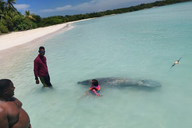 Punta Cana: Saona Island Food And Drink Catamaran Hotel Pickup - Who Should Consider This Tour?