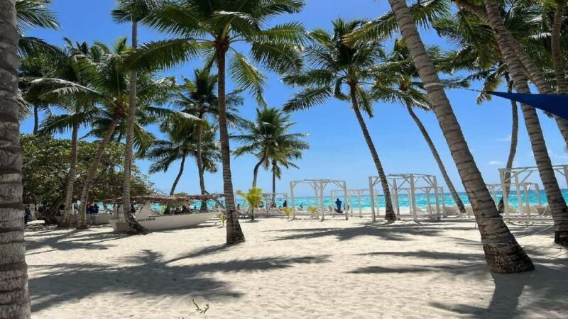 Punta Cana: Saona Island Speedboat Tour with Lunch - Introduction