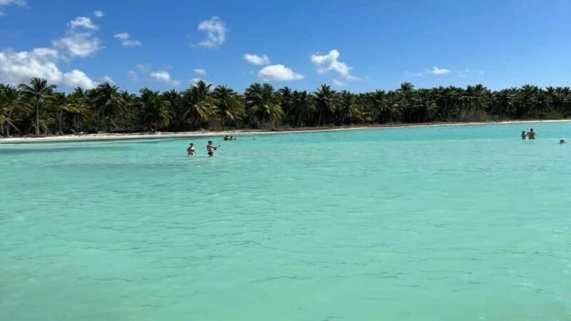 Punta Cana: Saona Island Speedboat Tour with Lunch - Key Points