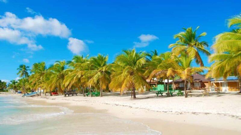 Punta Cana: Saona Island Speedboat Tour with Lunch - The Value of This Tour