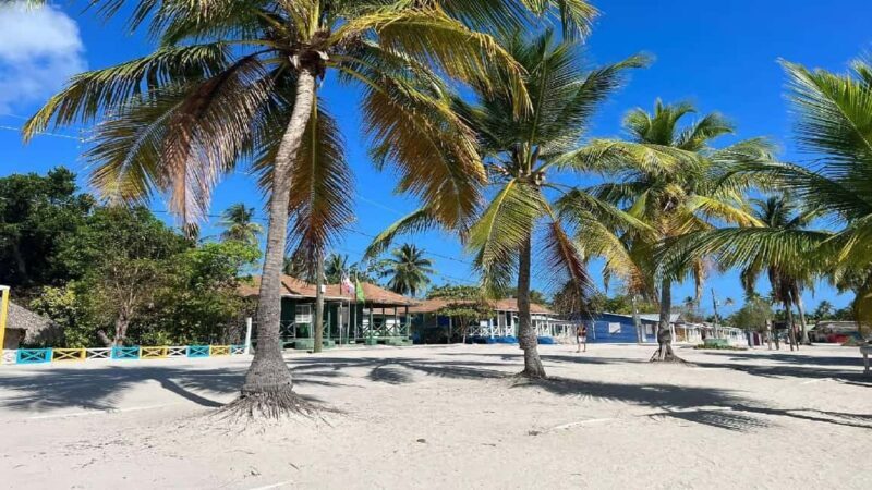 Punta Cana: Saona Island Speedboat Tour with Lunch - The Sum Up